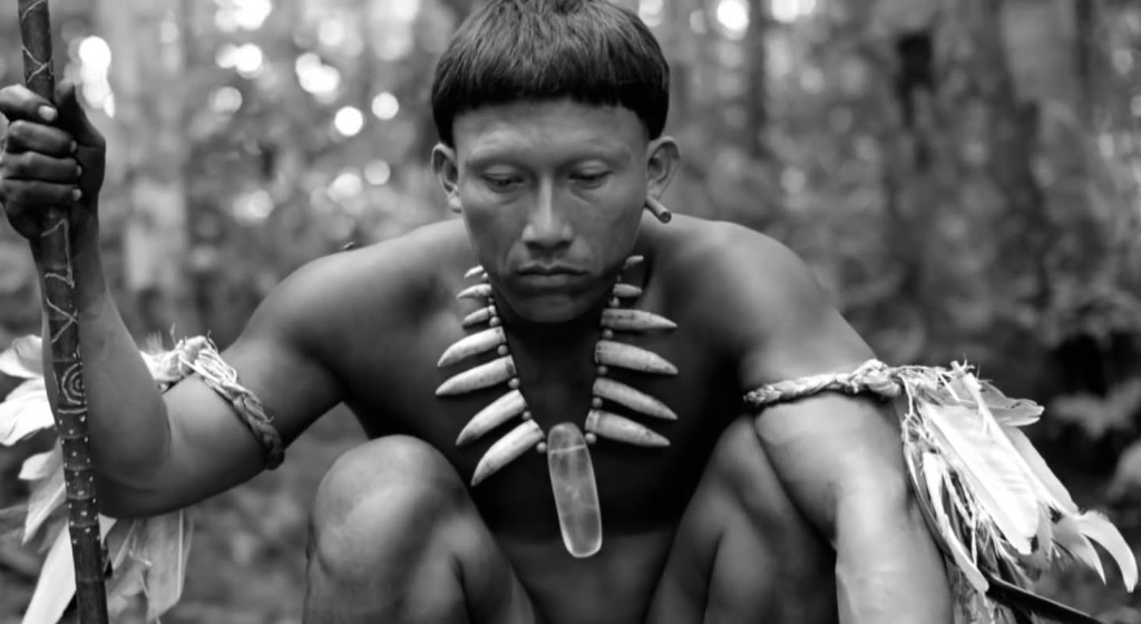 Embrace of the Serpent - A Review - Franklin Mount - Sensitive Skin ...