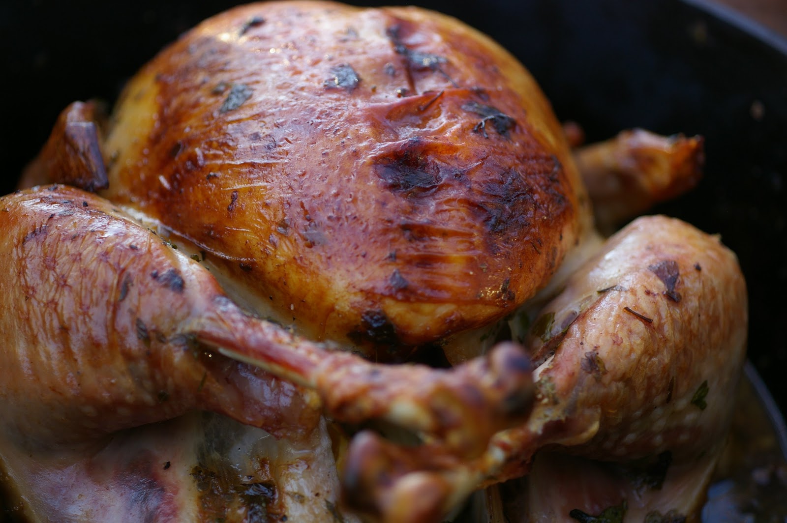 Drunken Turkey - Marc Olmsted - Stories - Sensitive Skin Magazine